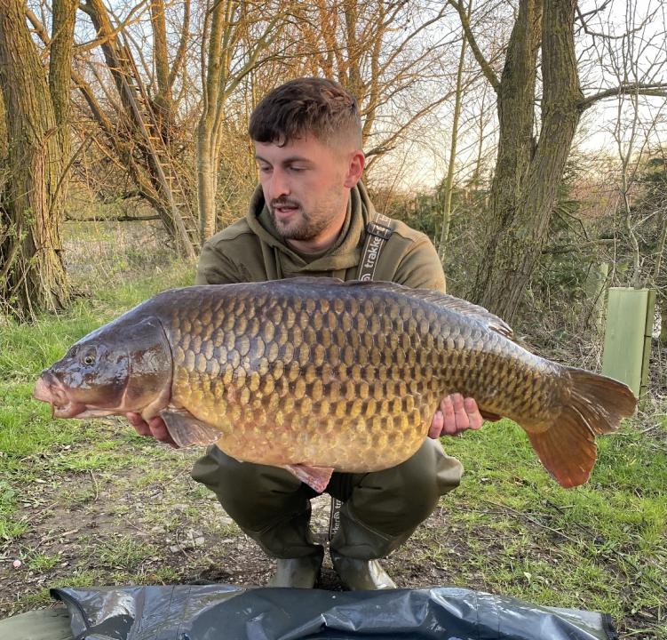 Common carp | Total Carp